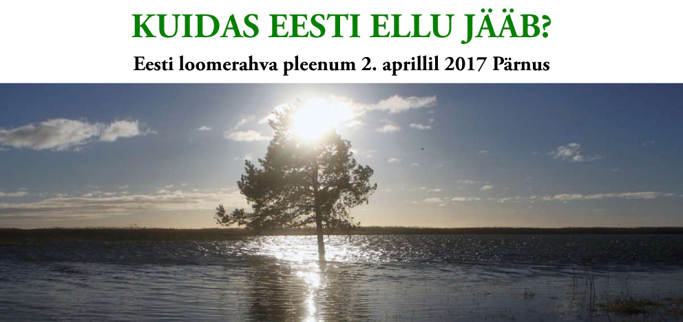 ÜKSI OLEME PUUD, KOOS AGA METS - UKM